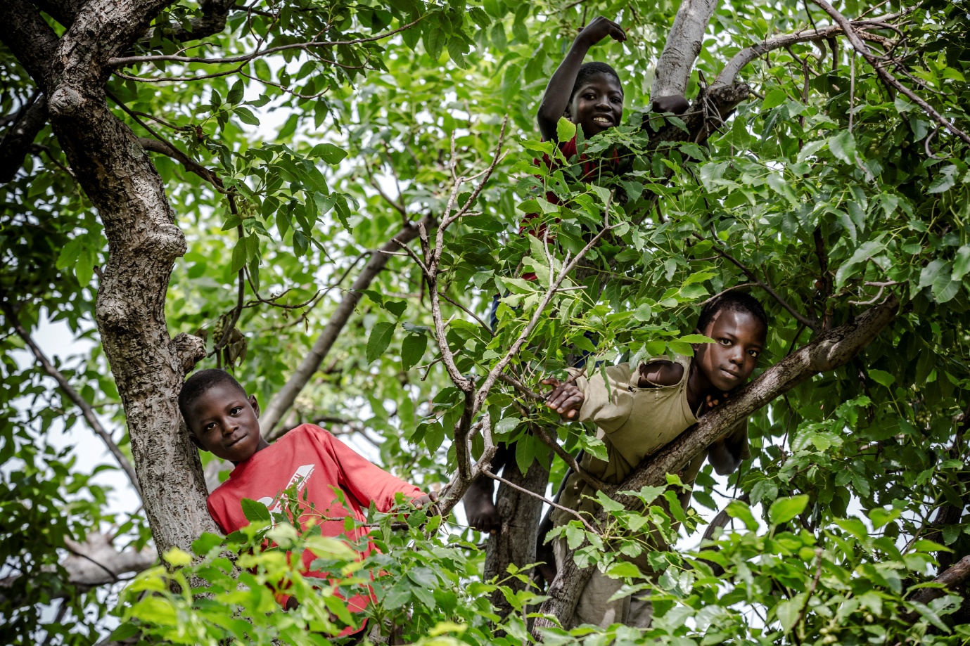 COVID-19 impacts risk exacerbating child labour in agriculture - The Point