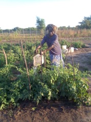 Young woman, Jainaba Manneh, outshines rivals in farming - The Point