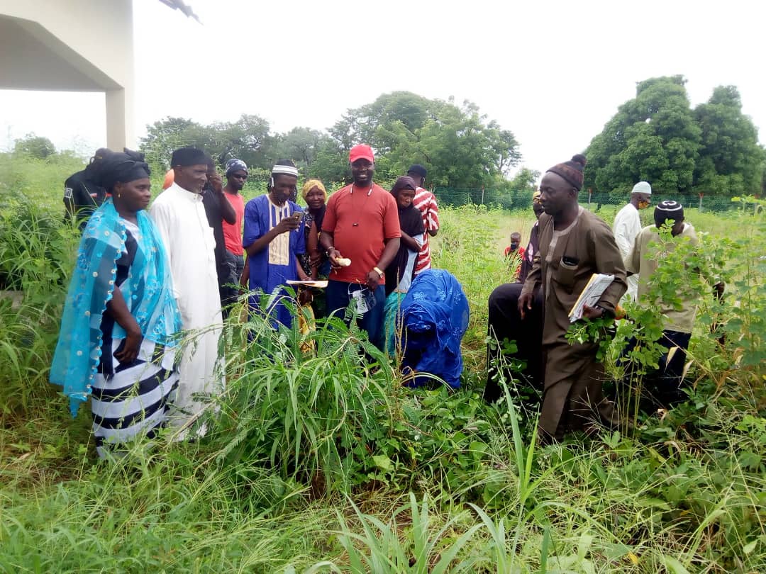 NoGJWCA, Star GSM officials visit NEMA, FASDEP project sites in LRR ...