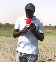 Maruo Farms CEO urges gov’t to introduce Civic Education - The Point