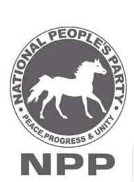 NPP spends over D40M in year 2021 - The Point