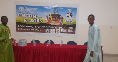 Soil Solution Marks World Soil Day - The Point