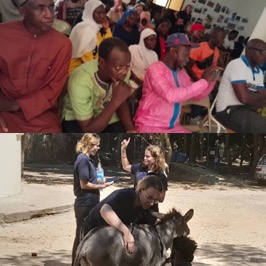 GHDT capacitates students on treatment of Fly Strike on animals - The Point