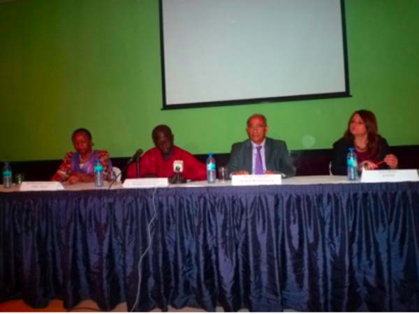 Journalists briefed on SE4ALL - The Point