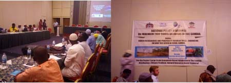 Environment Minister: Our target is to plant over 1 million trees in ...